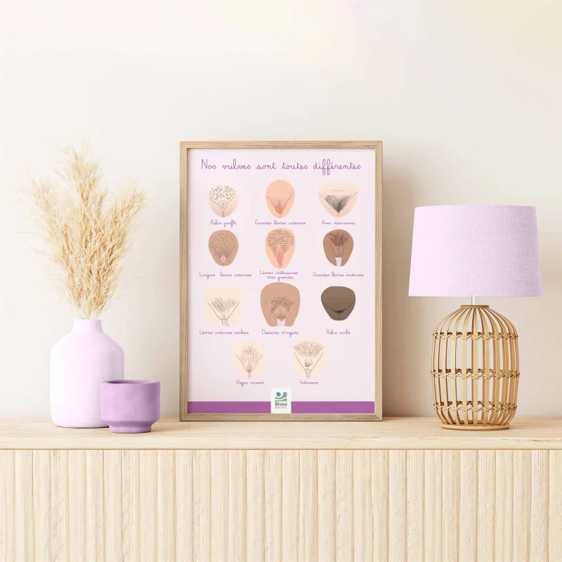 Poster A4 Nos vulves sont toutes différentes en illustration